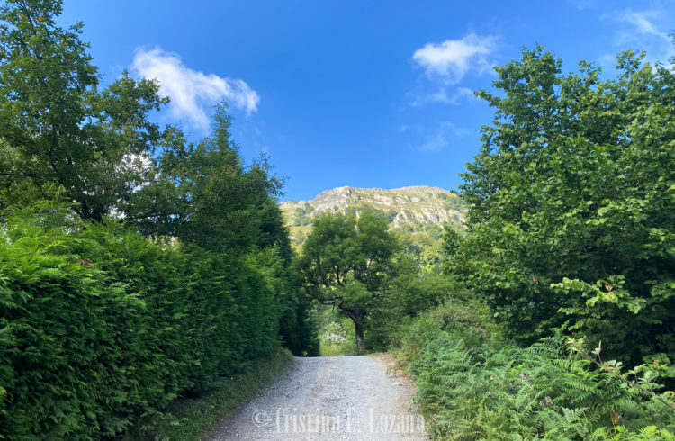 Cómo subir al Gorbea desde Bizkaia (con MAPA) | Viaja en mi mochila